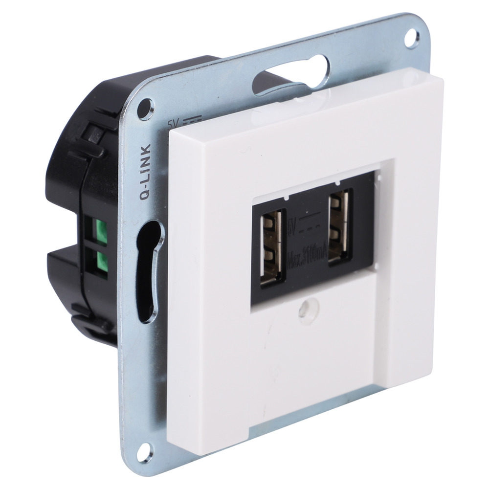 Contactdoos inbouw USB 2-voudig 5 volt 3,1 A t.b.v. Gira System 55 ...